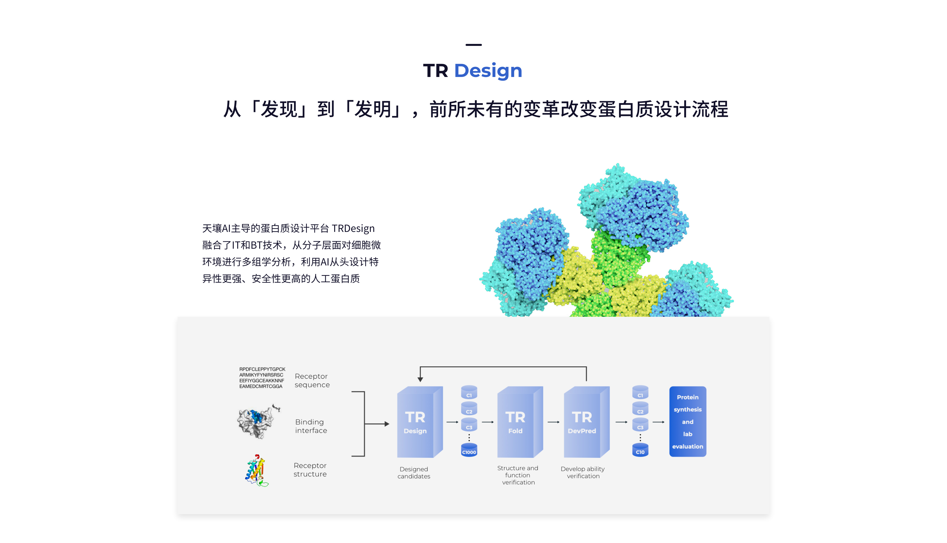 TRFold-天壤XLab蛋白质结构预测平台